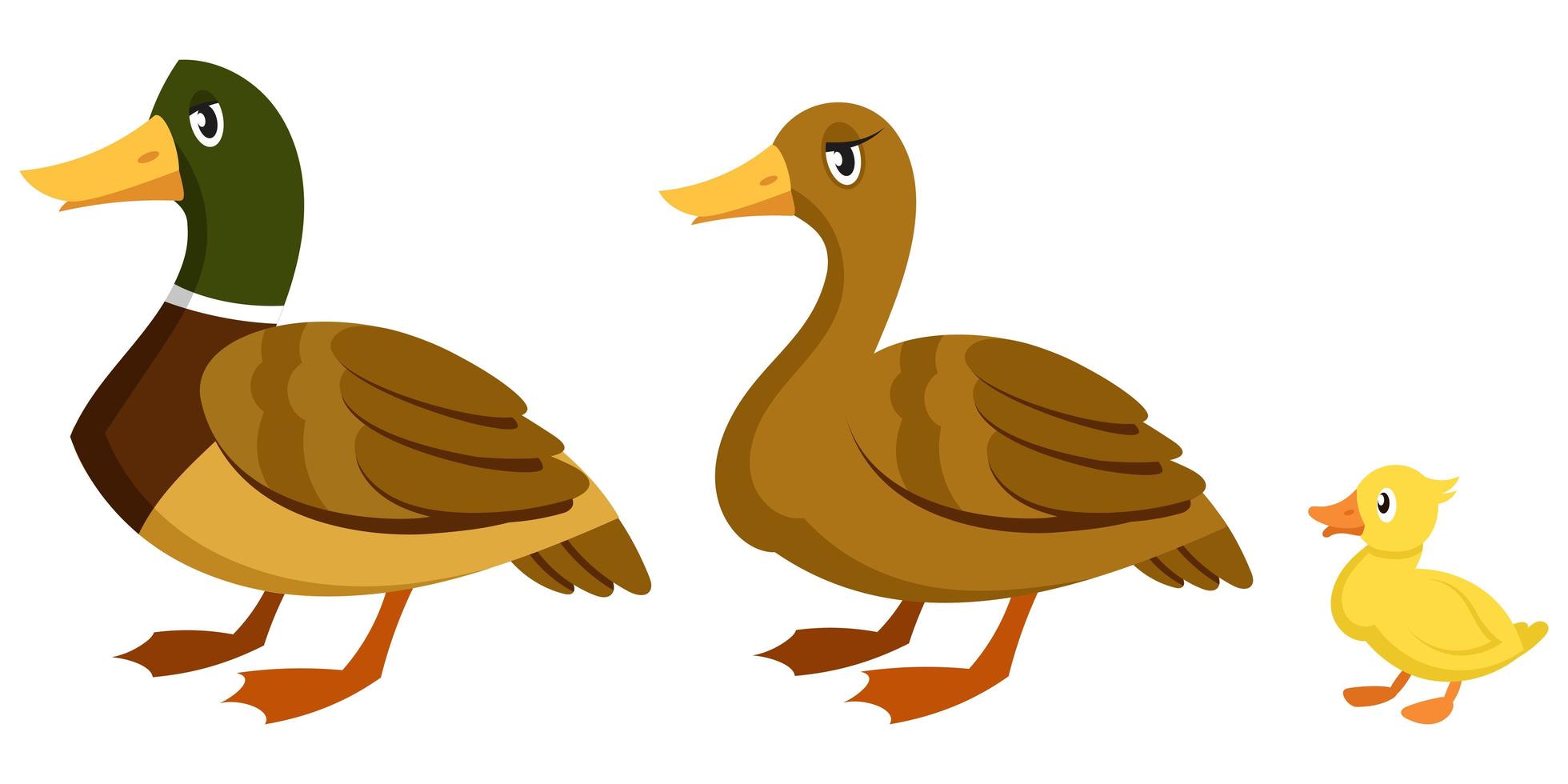 Patos locos » Educa y Aprende en Casa